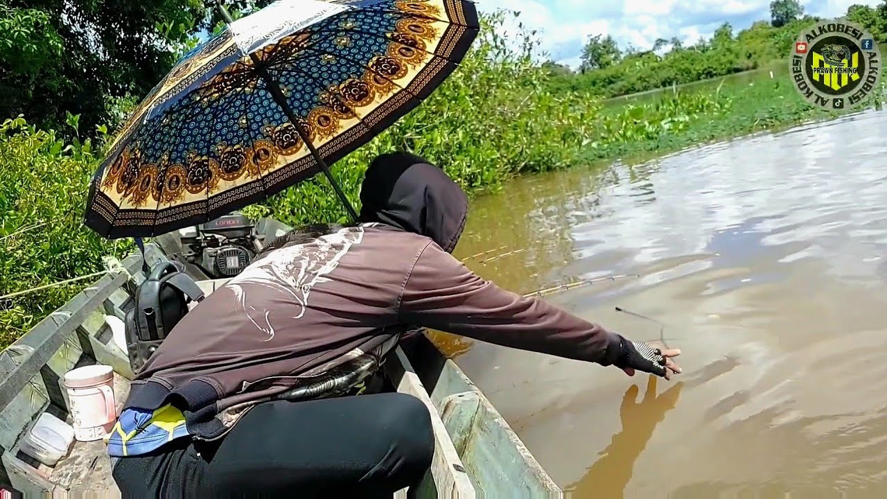 Resiko yang terjadi! ketika mancing udang galah saat air mulai banjir ...