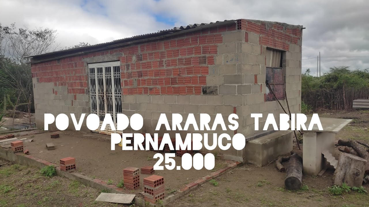 Povoado Araras Tabira Pernambuco - YouTube