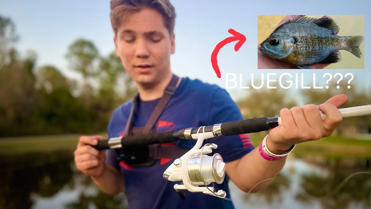 Fishing with GIANT surf combos for BLUEGILL!?! - YouTube
