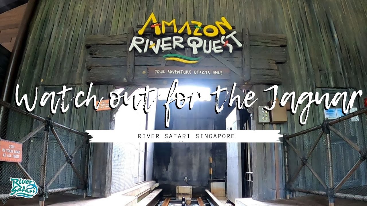 Amazon River Quest at River Safari Singapore (Full Ride) | WalterNei ...