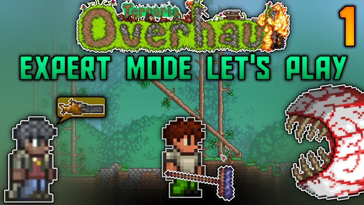 Is This Reality? Terraria Overhaul Mod Let's Play - Episode 1 - YouTube