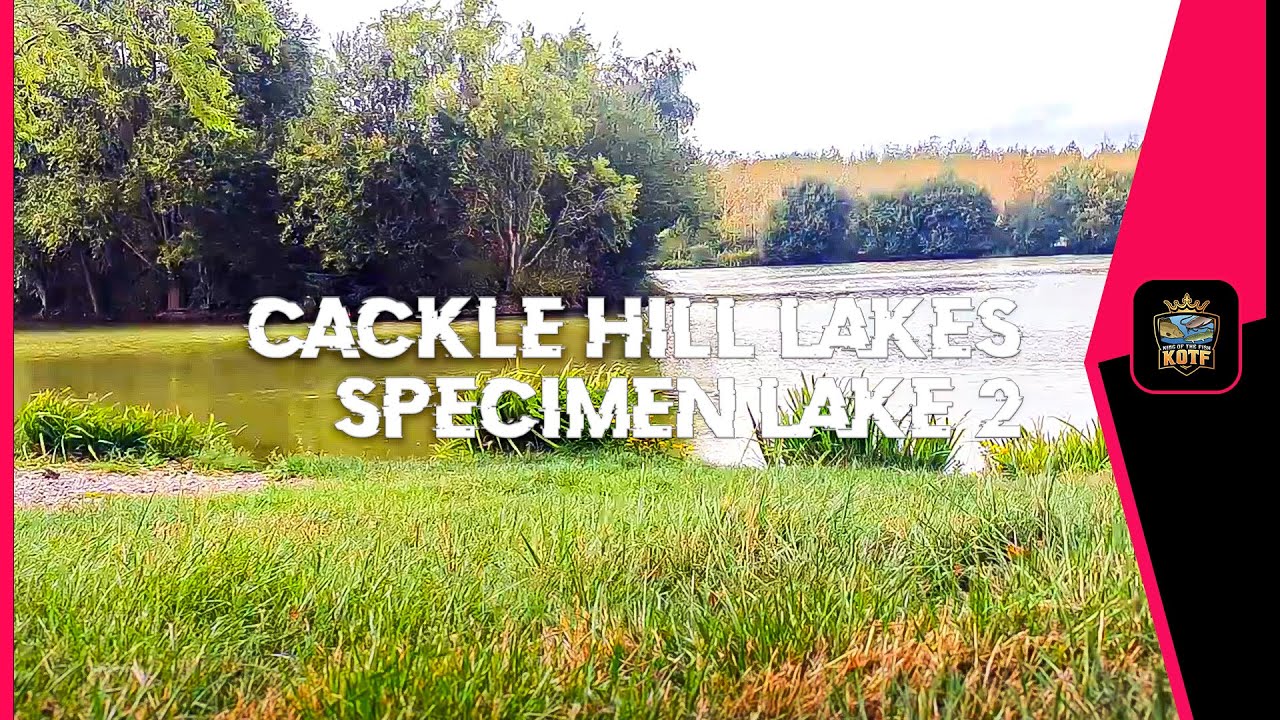 CACKLE HILL LAKES, SPECIMEN LAKE 2 WALKTHROUGH || CACKLE HILL LAKES ...