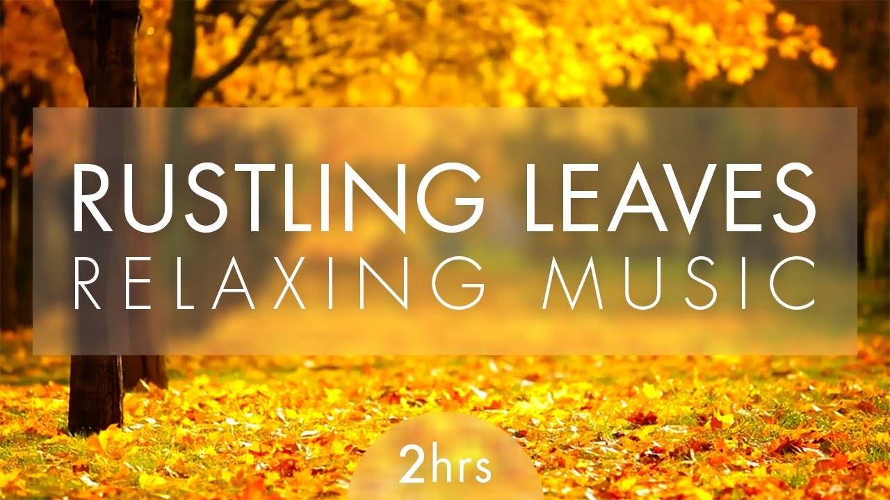 🍂 Relaxing music with sounds of rustling autumn leaves | Música ...