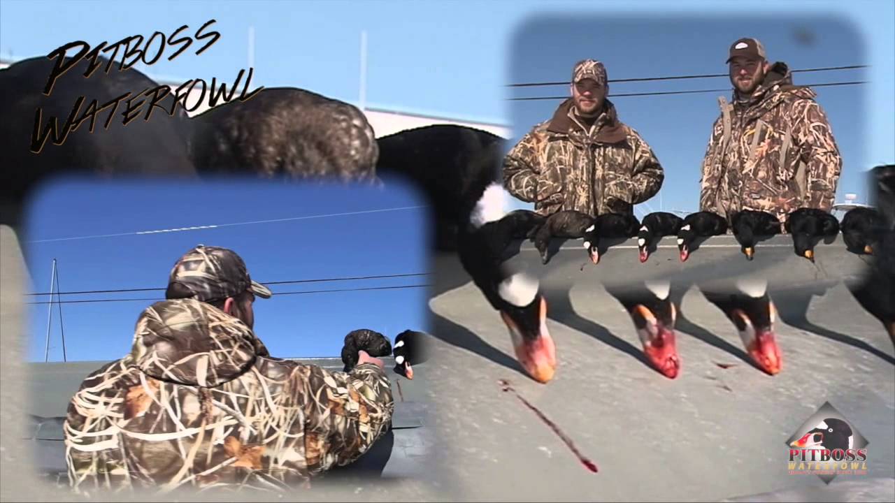 Eric Wood & Brandon Cliatt Maryland SeaDuck Hunting Sea Ducks - YouTube
