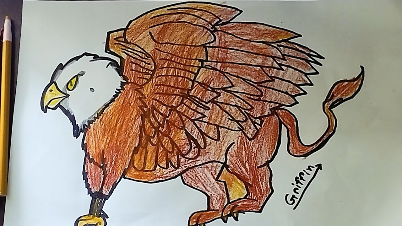 How To Draw a Griffin | Griffin Drawing | - YouTube