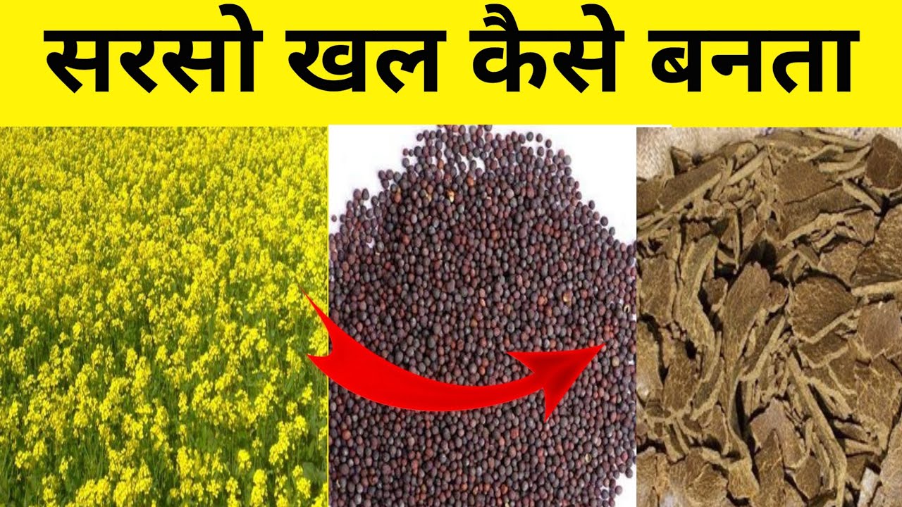 Khali Ka machine , gardener dost,sarso ki khali ka rate,sarso ki khali ...