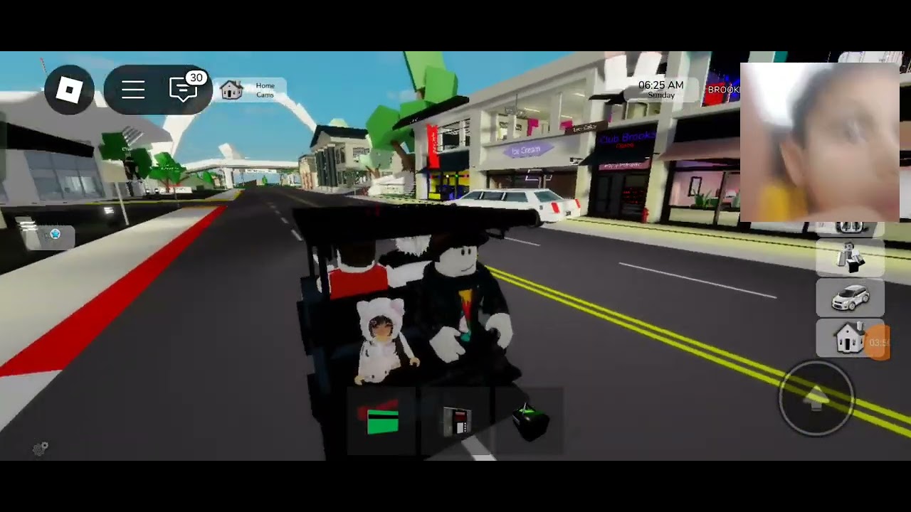 Brookhaven part 3 - YouTube