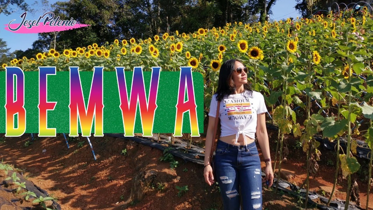 BEMWA FARM DAVAO - YouTube