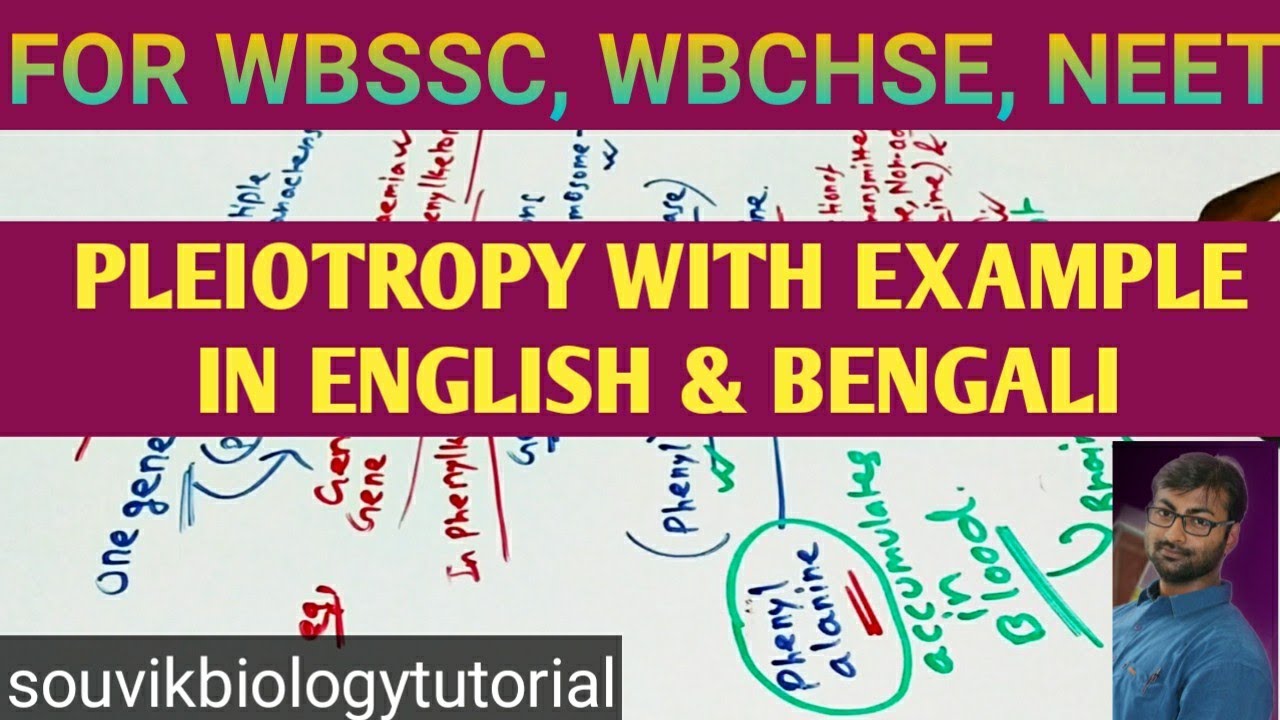 Pleiotropy:- Definition & Example | Genetics | NCERT | WBCHSE | WBSSC ...