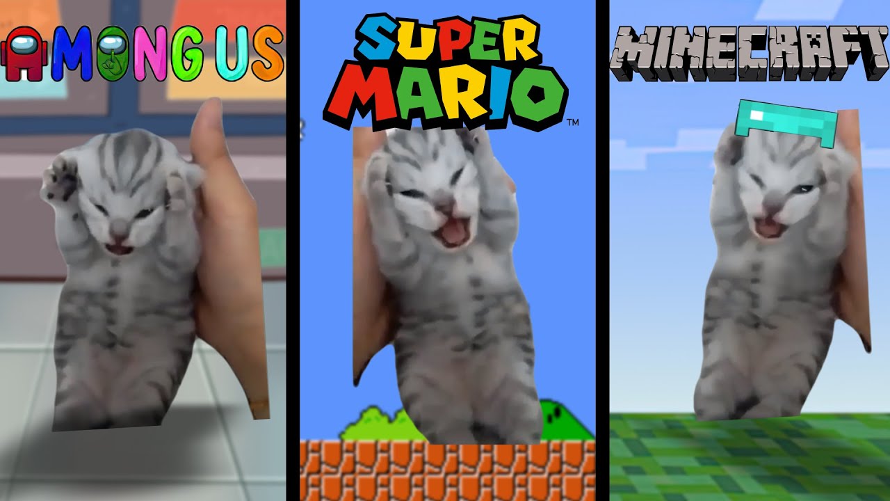 Dramatic kitten but in famous places - YouTube