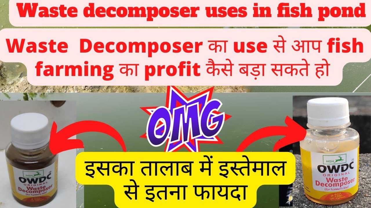 Benefits of Waste decomposer in fish pond.तालाब मे Decomposer का ...