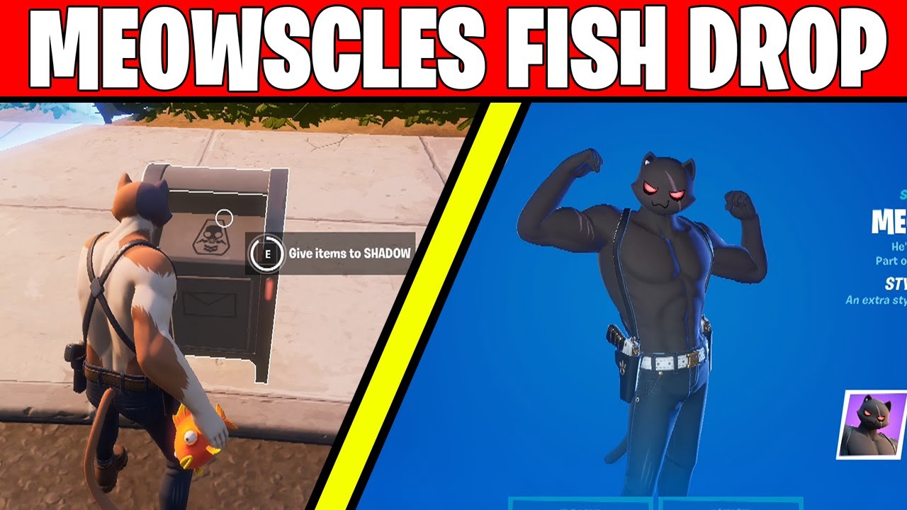 DELIVER FISH TO SHADOW / GHOST : HOW TO GET MEOWSCLES SHADOW/GHOST ...