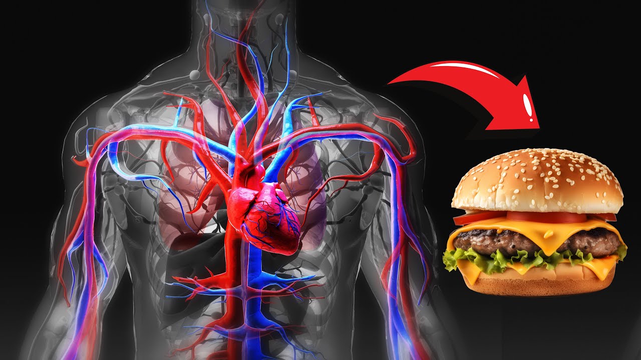 3 HELPFUL TIPS TO PROMOTE HEART HEALTH | Try These Tips If You Wanna ...