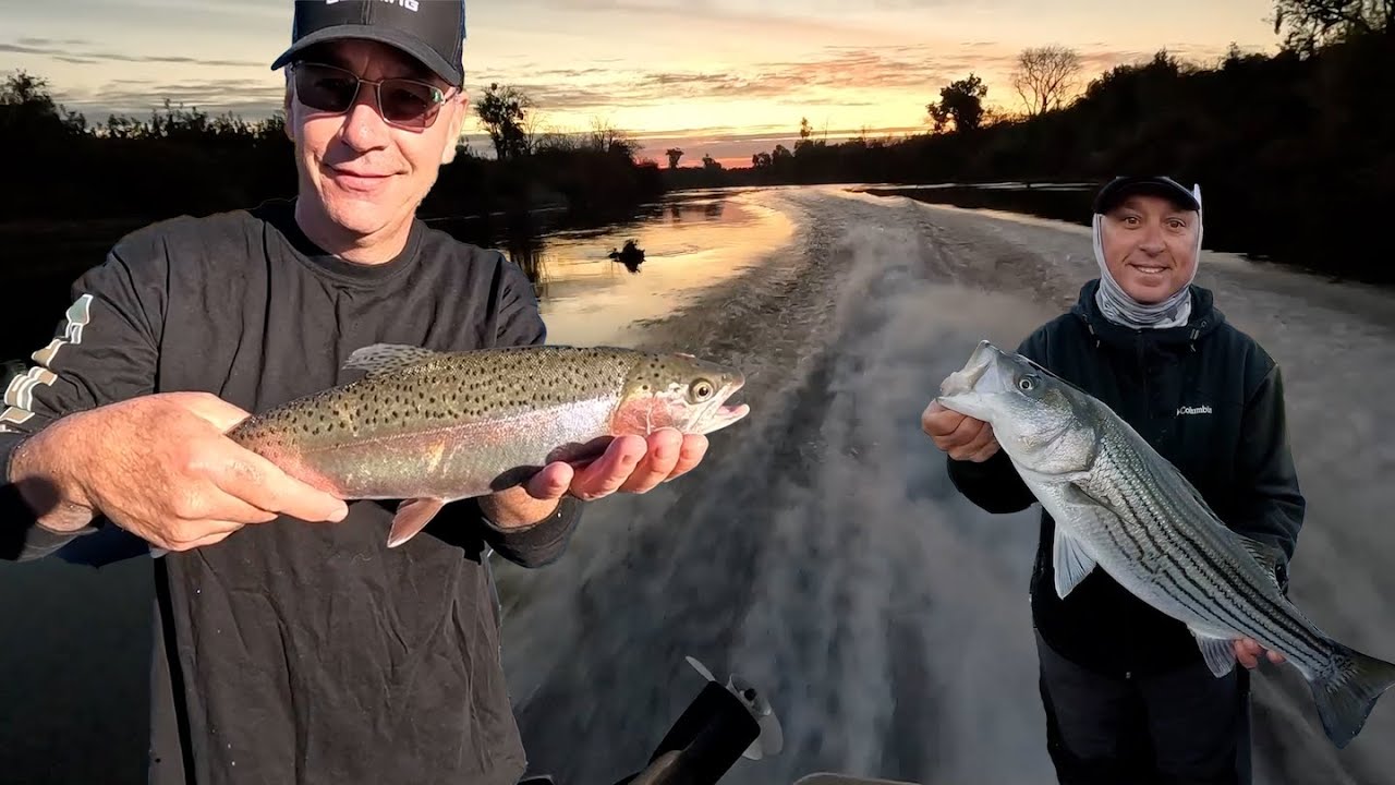 Feather River Striped Bass & Steelhead Combo - YouTube