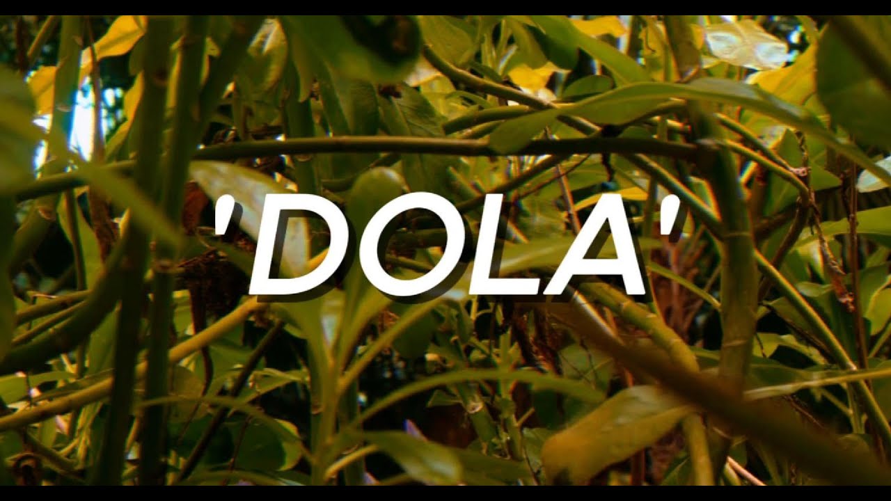 MASON.EXE - Dola (Lyric Video/Visualizer) - YouTube