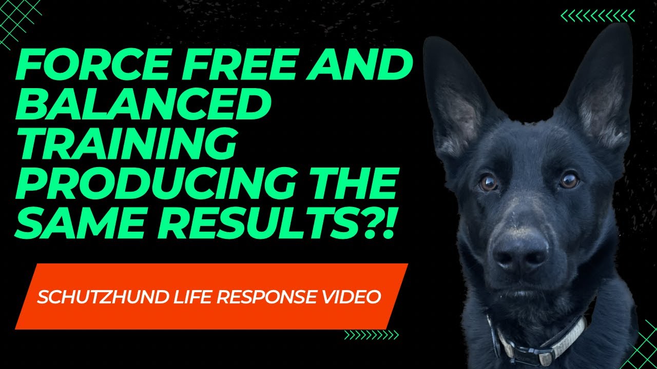 Response Video: Force Free and Balanced Training Producing the Same ...