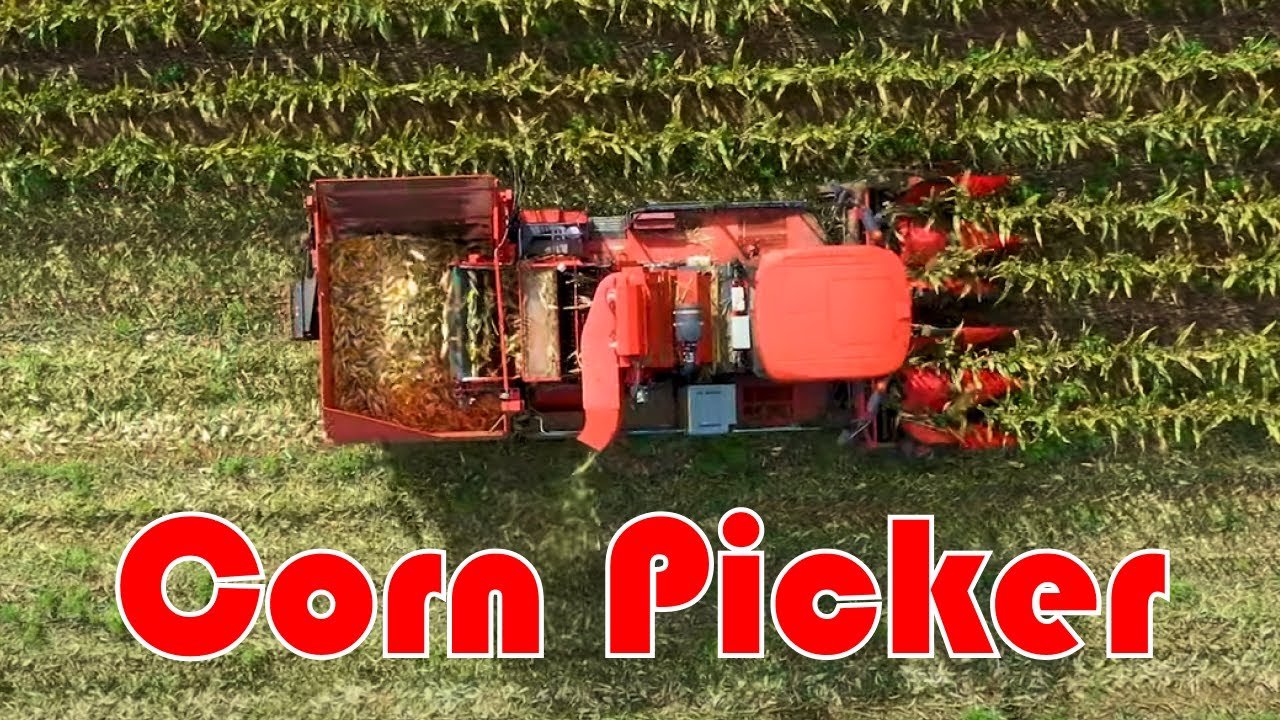 Corn Picker : récolte maïs - YouTube