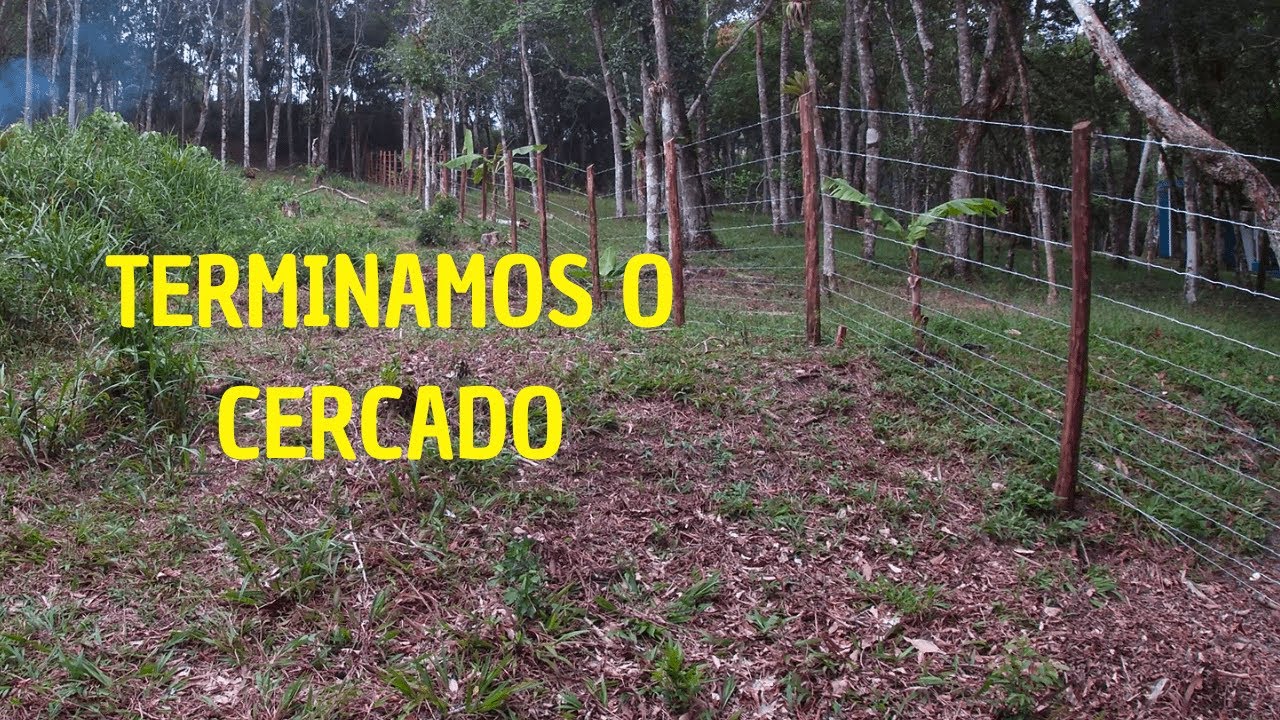 FINALMENTE TERMINAMOS A ETAPA DO CERCADO - YouTube
