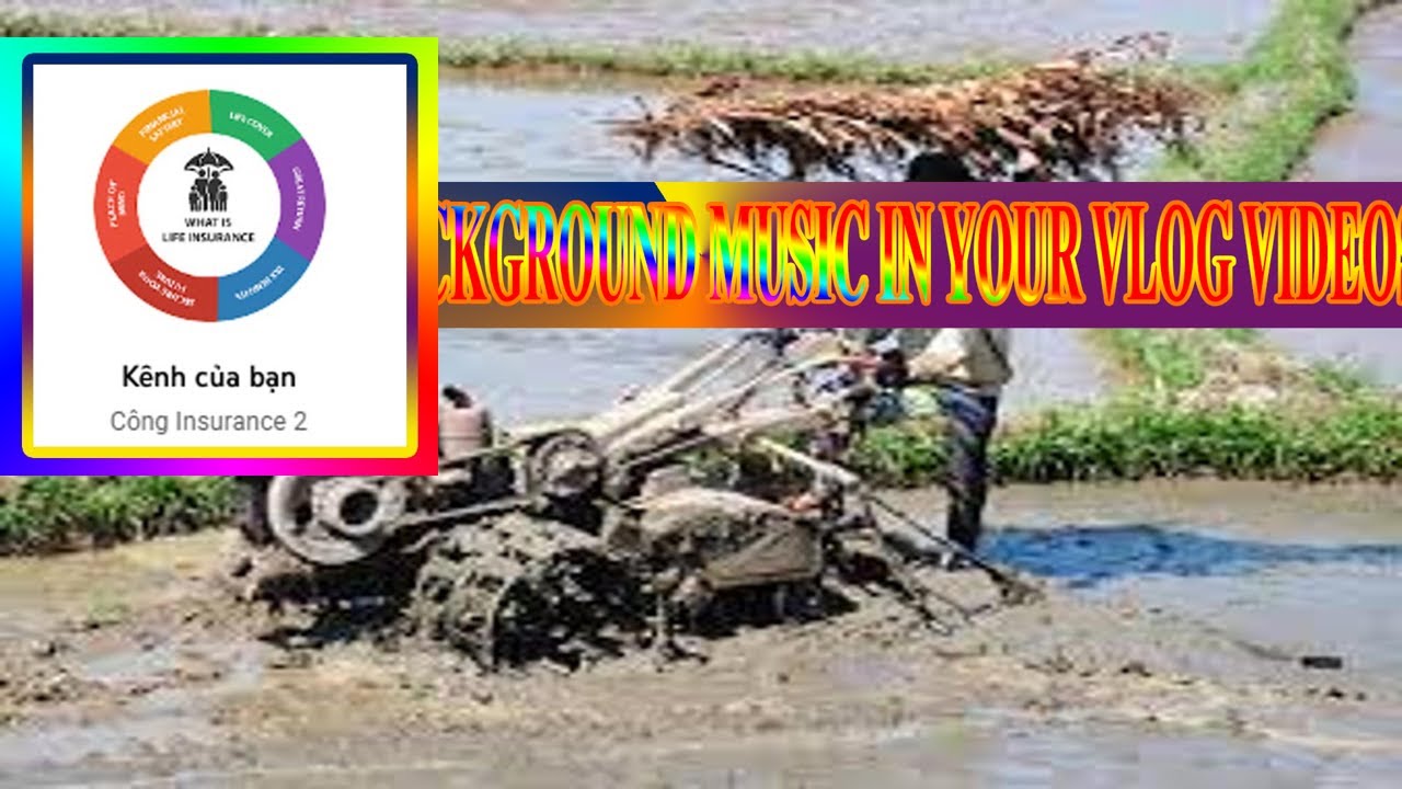 USE THE RIGHT BACKGROUND MUSIC IN YOUR VLOG VIDEOS - YouTube