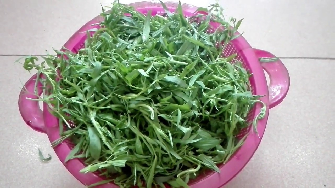 কলই শাক ভাজি । Koloi Shak Vaji II Koloi Shak Recipe Easy II - YouTube