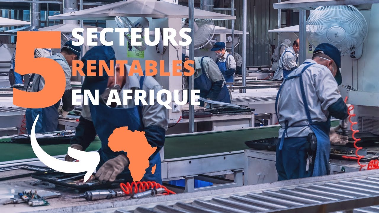 TOP 5 des SECTEURS SURS et RENTABLES en AFRIQUE - YouTube