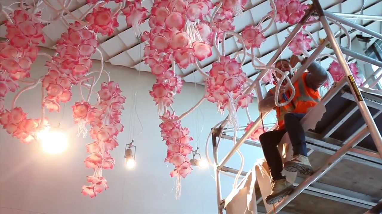 Fifty Albert Cherry Blossom Installation - YouTube