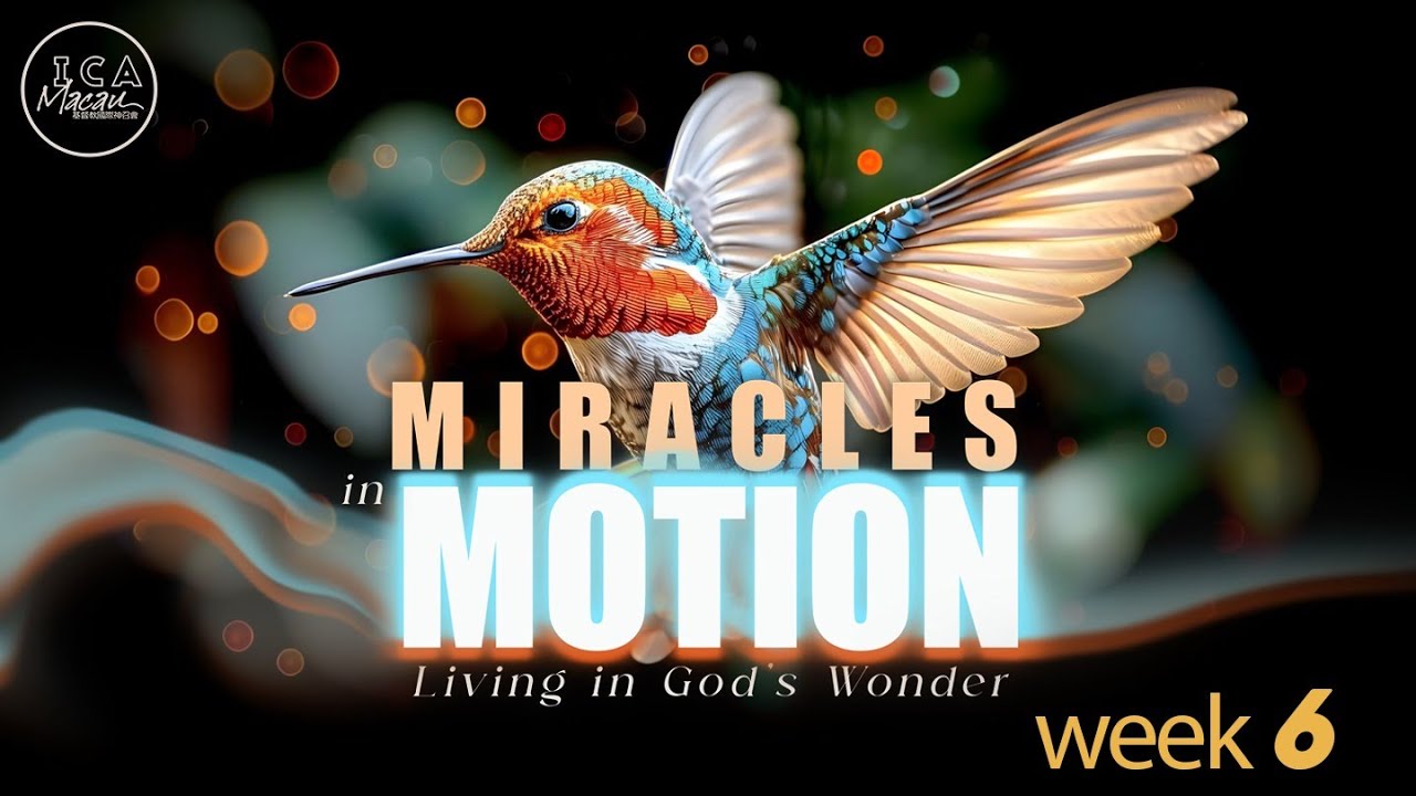 Miracles in Motion 6 - Miracle Testimonies - YouTube