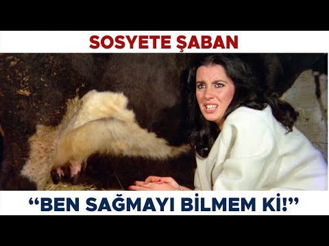 Sosyete Şaban Türk Filmi | Dilaver Bey, Peri'ye Süt Sağdırıyor!