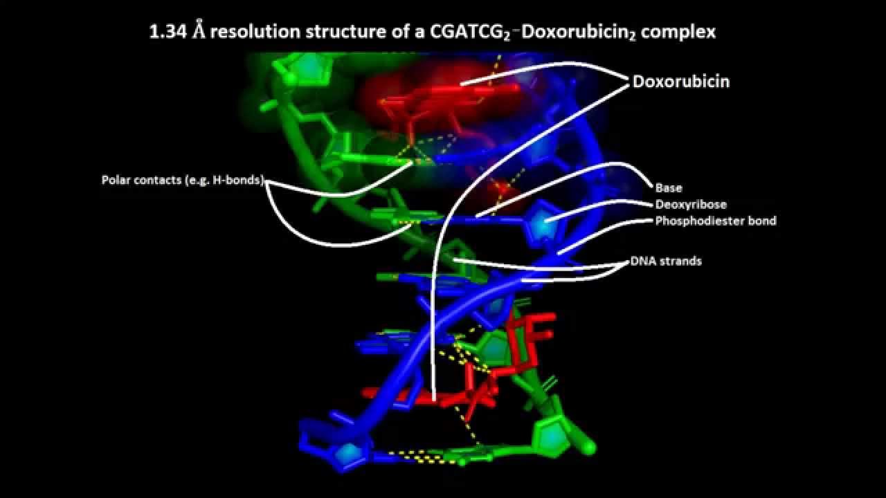 How anticancer drugs work – Molecular mechanism of action of ...