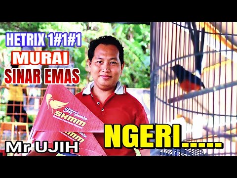 MURAI SINAR EMAS HETRIX 1#1#1 - YouTube