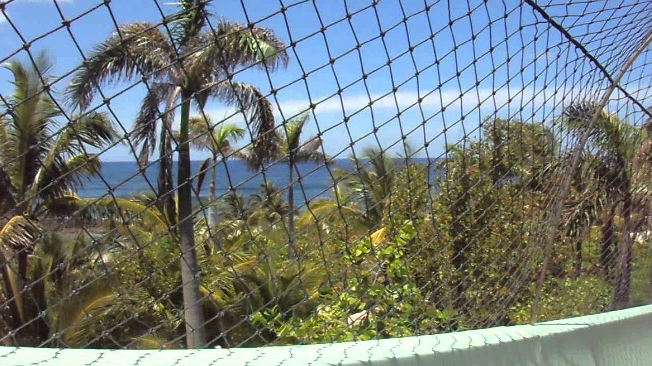 Aqua Adventure Atlantis Drop Slide - YouTube