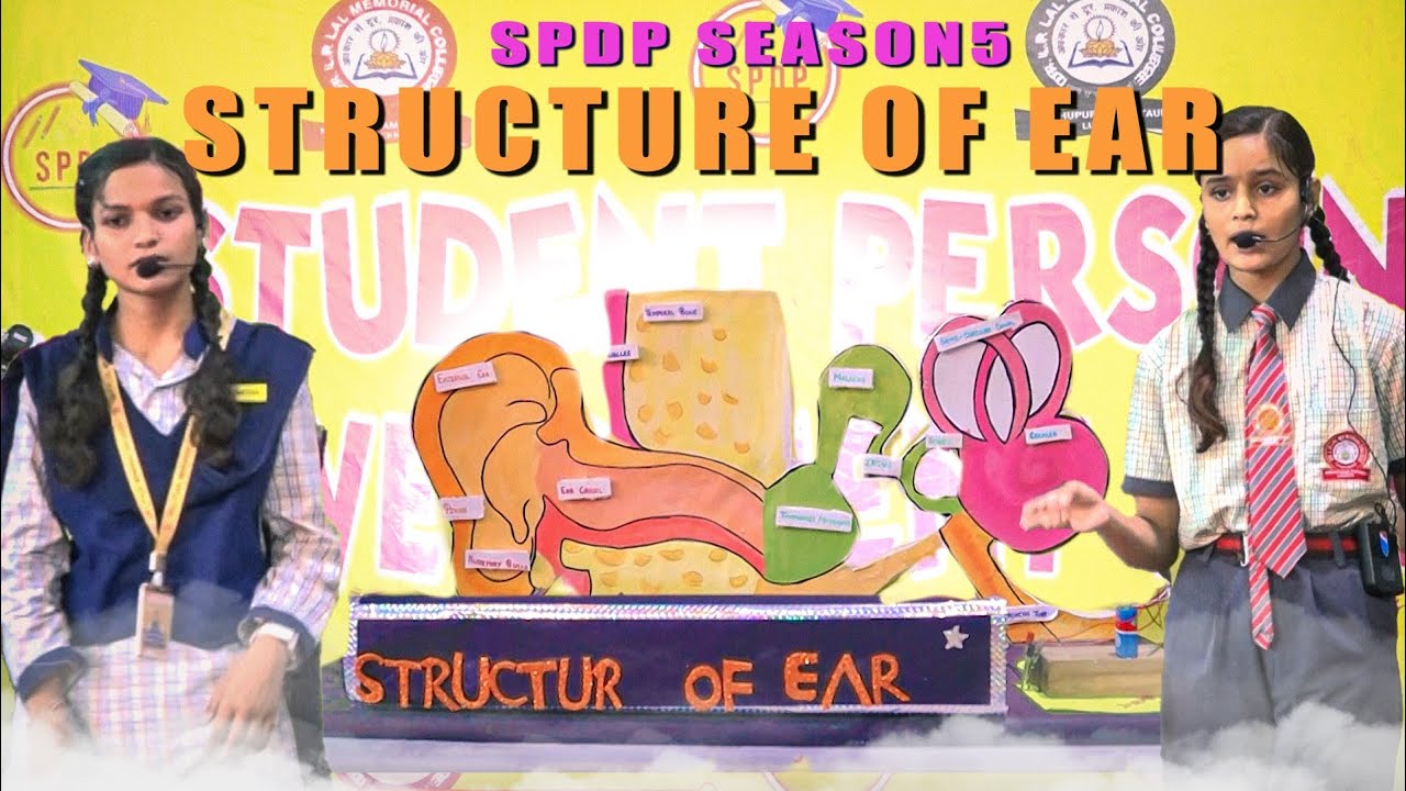 Structure Of Ear And its work || SPDP || @DrLPLalMemorialPublicSchool ...