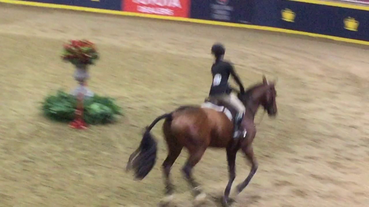 Mackenzie Wray and Contact Jump Canada 2016 Champion Round - YouTube