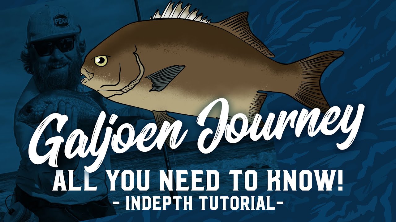 GALJOEN JOURNEY | FISHING FOR SOUTH AFRICA'S NATIONAL FISH - YouTube