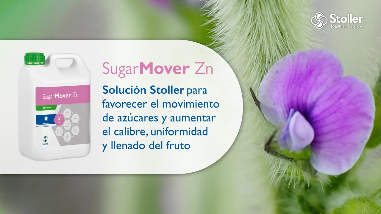 SugarMover Zn | Promueve el movimiento de azúcares y aumenta calibre ...