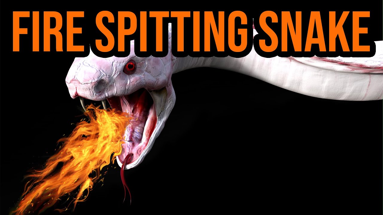 Real fire spitting snake - YouTube