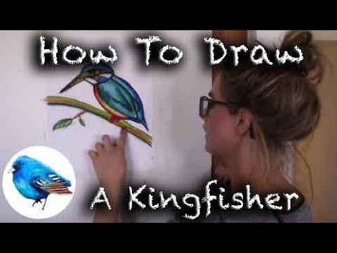 Learn to draw a KINGFISHER: STEP BY STEP GUIDE (Age 5+) - YouTube