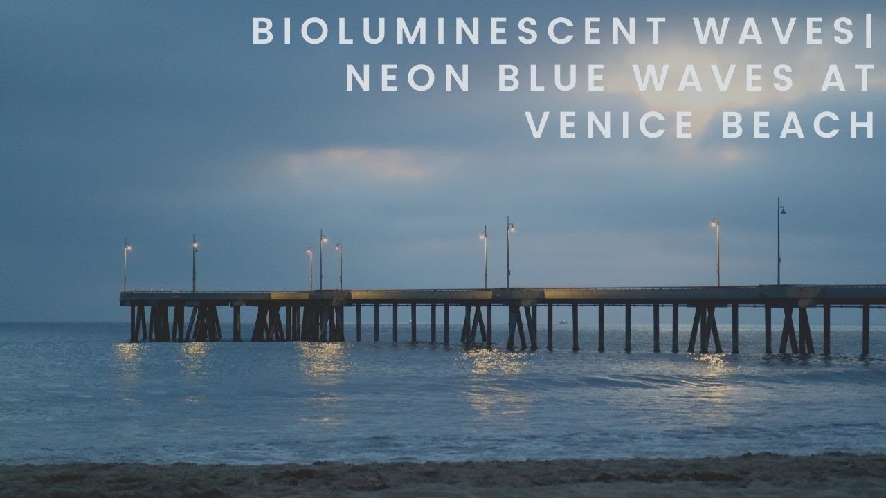 Neon Blue Waves at Venice Beach | Going to the Beach - YouTube