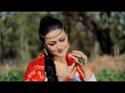 Rouya Doost - Entezaar OFFICIAL VIDEO HD | رویا دوست - انتظار