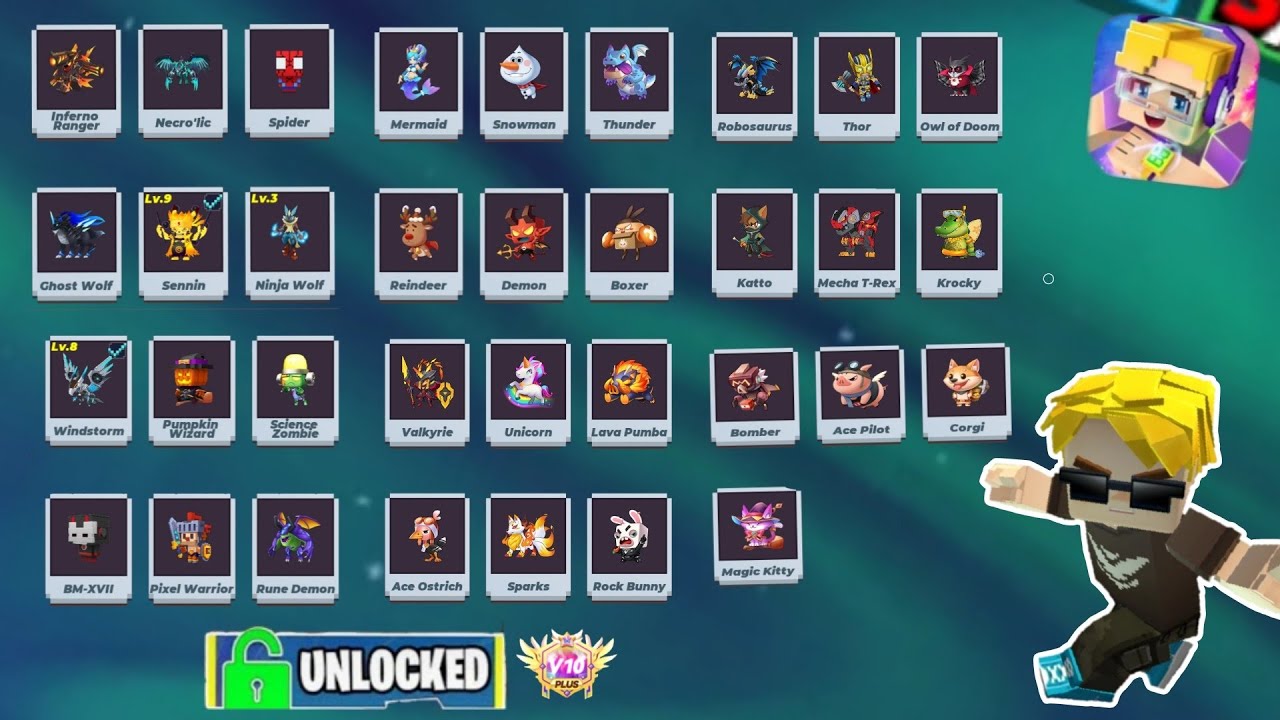 All Pets Unlocked 🔓?? Bedwars !! (Blockman GO) - YouTube