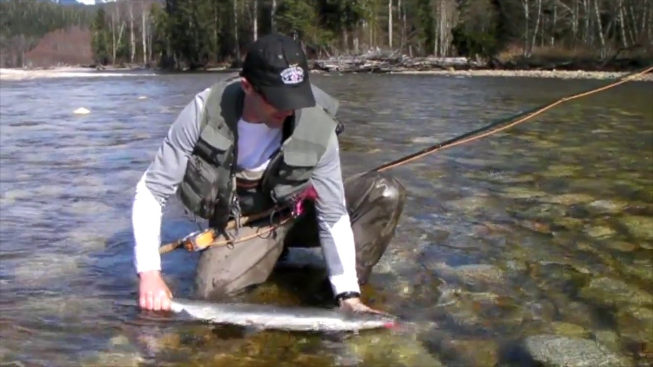 Steelhead Bootcamp - Spring Steelhead with Gill McKean & Pierce Clegg ...