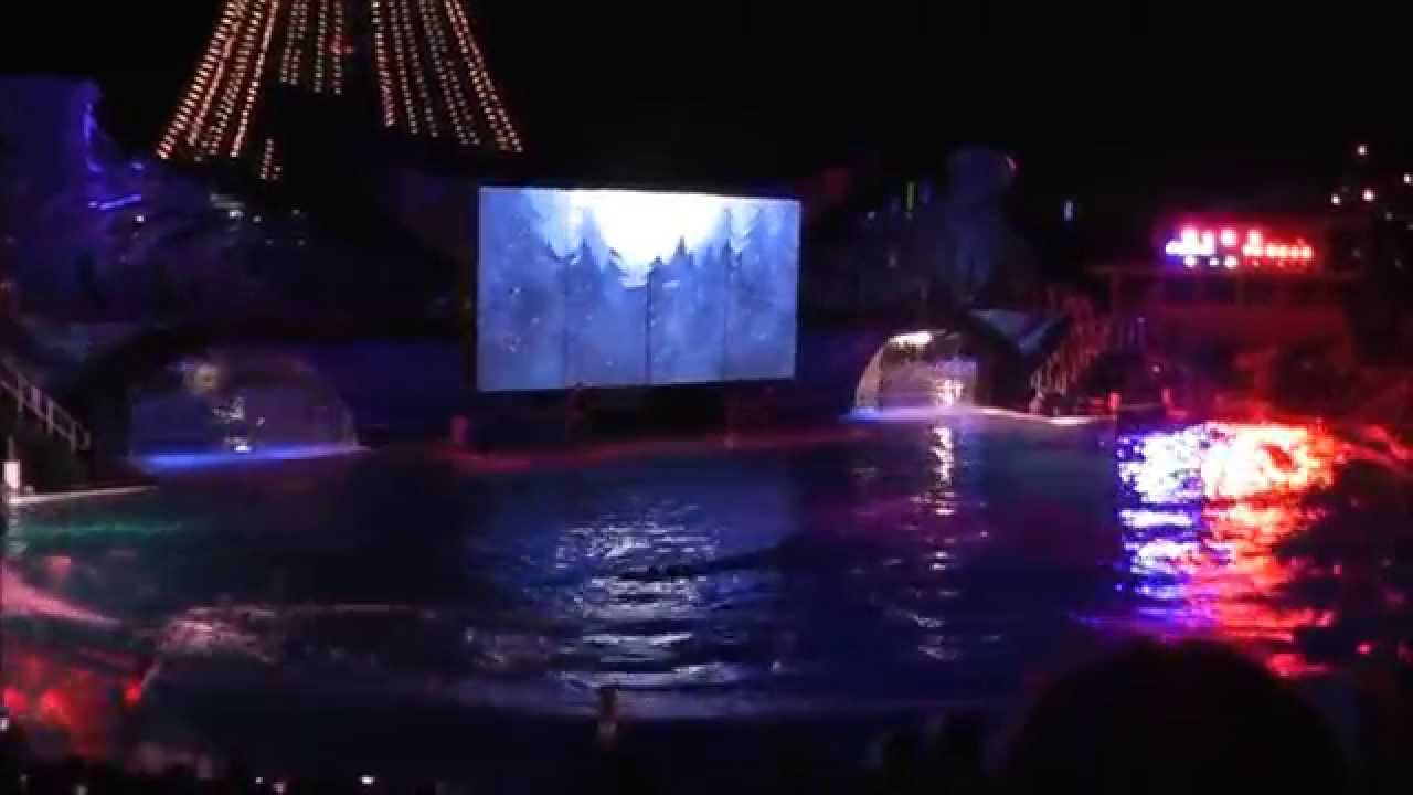 Shamu Christmas Miracles part 1 - SeaWorld San Diego - HD - YouTube