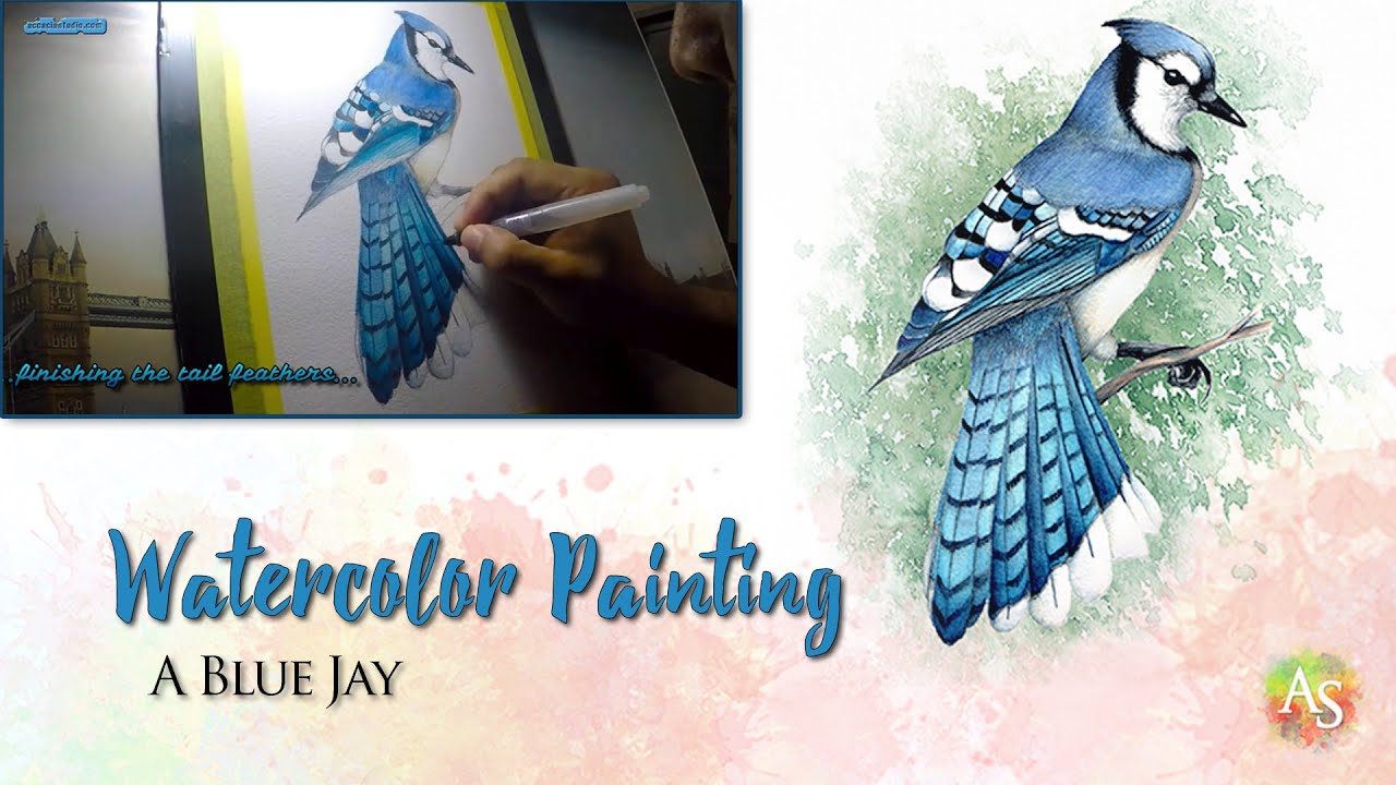Watercolor Painting | A Blue Jay - YouTube