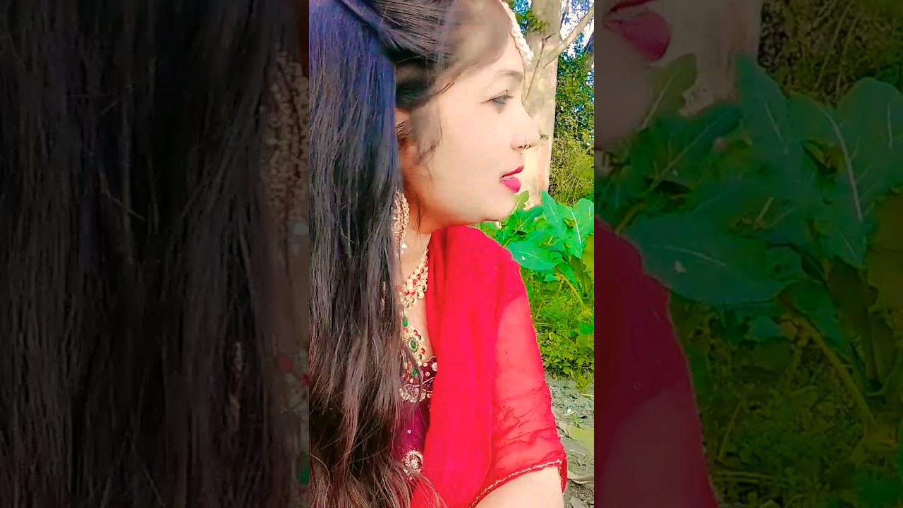 #kitna pyara pyara hai shama#trendingreels#viralreel#shortsvideo# ...