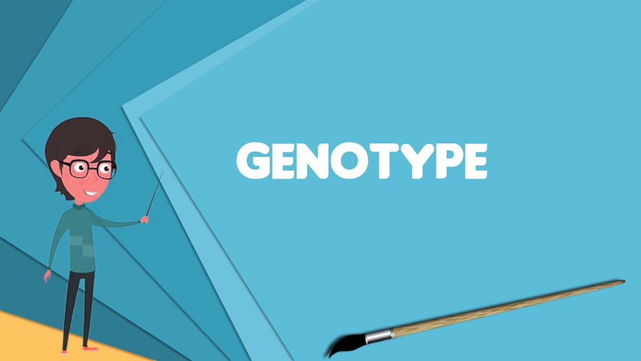What is Genotype? Explain Genotype, Define Genotype, Meaning of ...