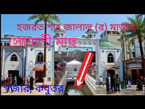 Hazrat shahjalal mazar, sylhet||হযরত শাহ জালাল মাজার||মাজার গজার মাছ ...