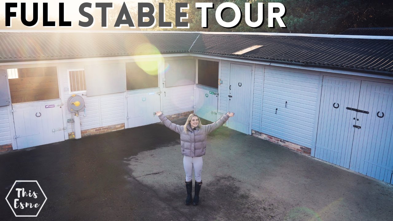 Full Stable Tour + Tack Room Reveal! Stable Renovation Series | This ...