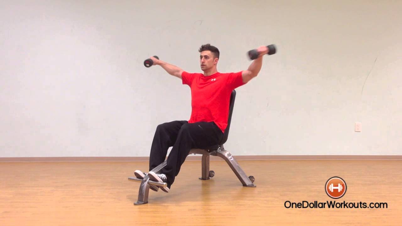Seated L Raise Extended - YouTube