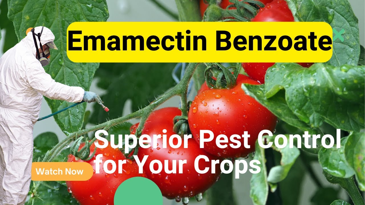 Emamectin Benzoate Insecticide: Powerful Pest Control for Agriculture ...