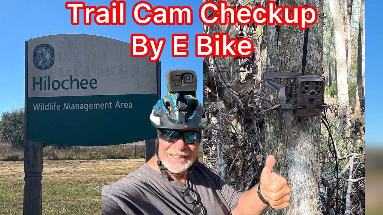 Hilochee WMA Trail Cam Checkup | E Bike Adventure | November 25, 2024 ...